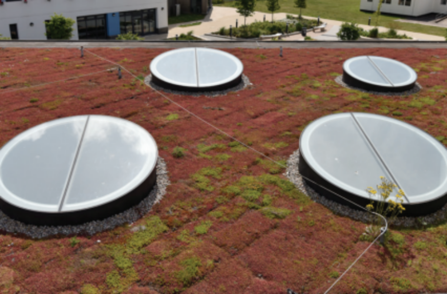 Rond dakraam - Dutch Roof Design